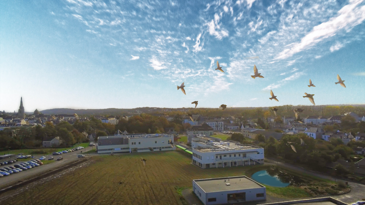 Location | ISSAT Pays de Vilaine